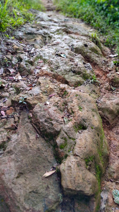 Mossy Stone Path To the Top of the Mountain Stock Image - Image of ...