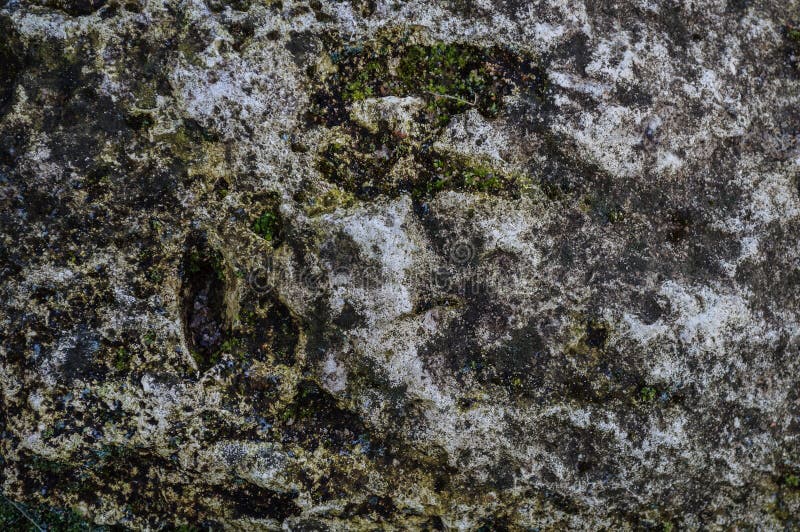 Mossy stone surface stock photo. Image of motley, solid - 82635832