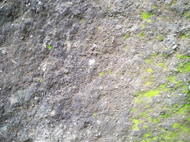 Mossy Stone stock image. Image of garden, geology, view - 274983035