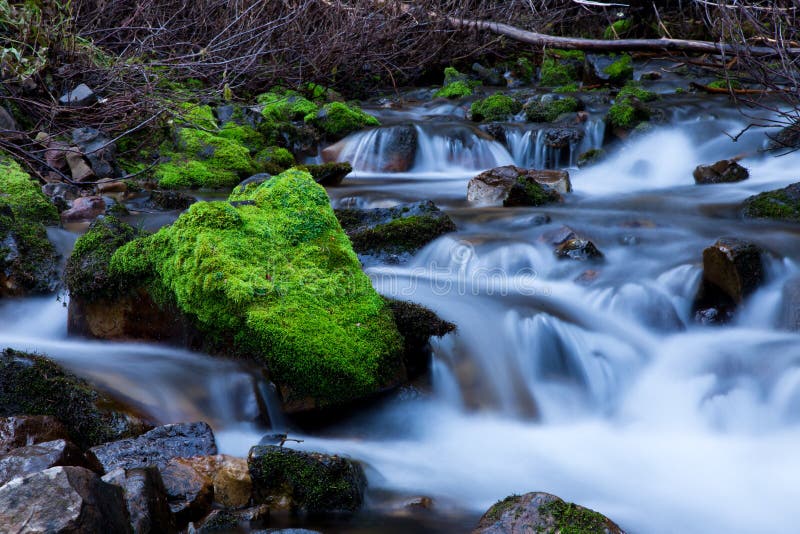 Mossy Stream stock image. Image of serene, leaf, rocks - 21804511