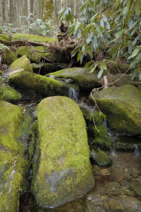 Mossy Stream Falls stock image. Image of moss, cool, flowing - 1055989
