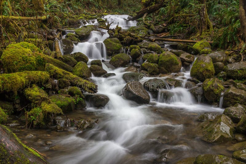 Mossy Stream, Washington State Stock Photo - Image of rocks, meanders ...