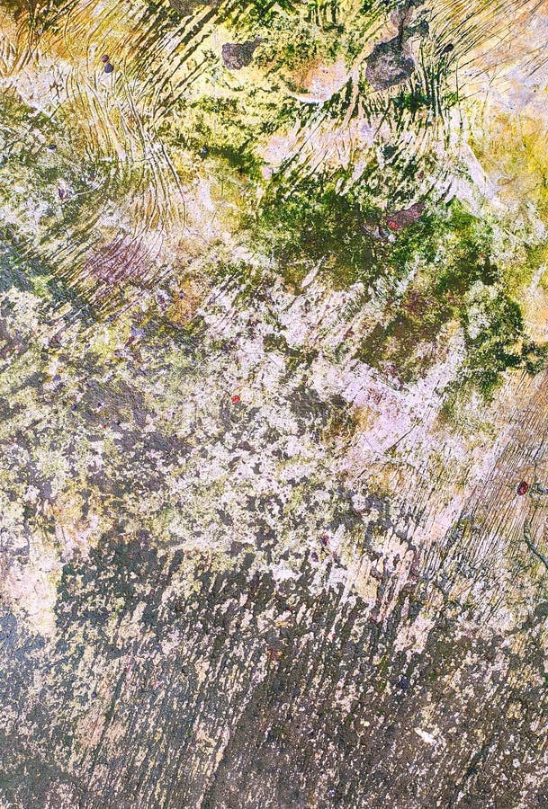 The Mossy Surface of the Concrete Floor Stock Photo - Image of mossy ...
