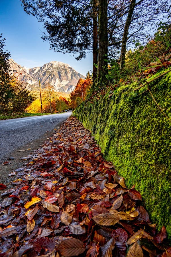 Mossy Wall during Fall in Northern Italy with the Dolomite Mountains in ...
