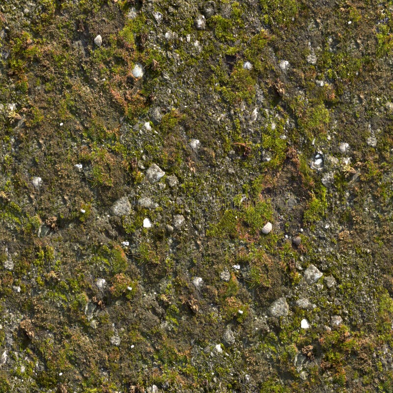 Mossy Wall Seamless Texture. Picture Image: 29779982