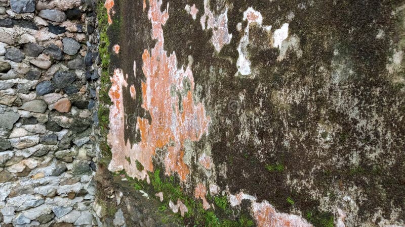 Mossy Wall and Stone Texture. Architecture and Building Stock Image ...