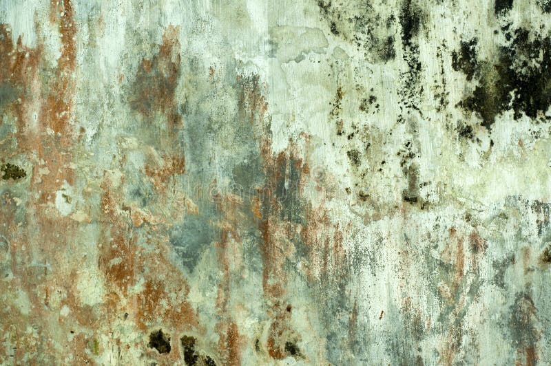 Mossy walls natural stock image. Image of naturally - 232519693