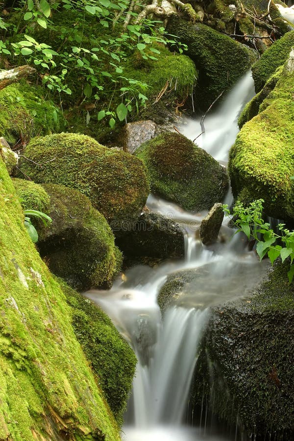Mossy waterfall stock image. Image of nature, water, natural - 213957