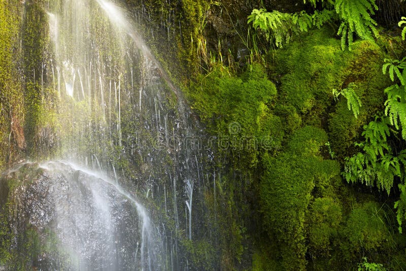 Mossy waterfall stock image. Image of green, power, water - 938479