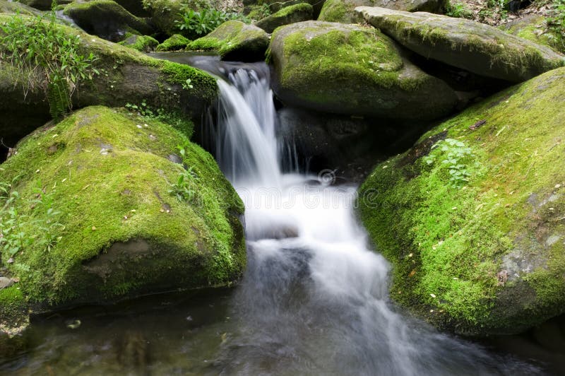 Mossy waterfall stock image. Image of little, nature, green - 9683215