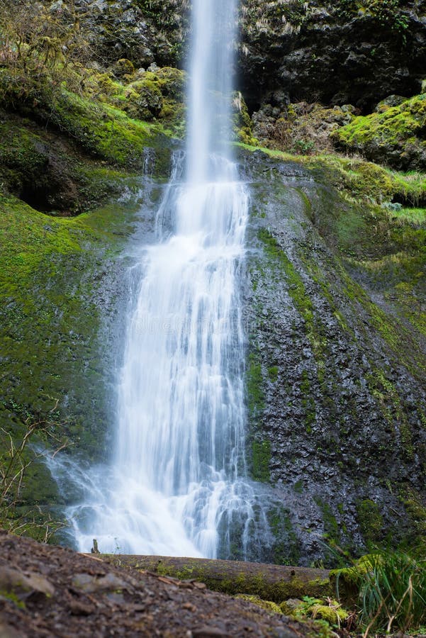 Mossy Waterfall from Below stock photo. Image of peaceful - 281714314
