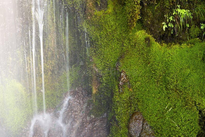 Mossy waterfall stock image. Image of green, power, water - 938479