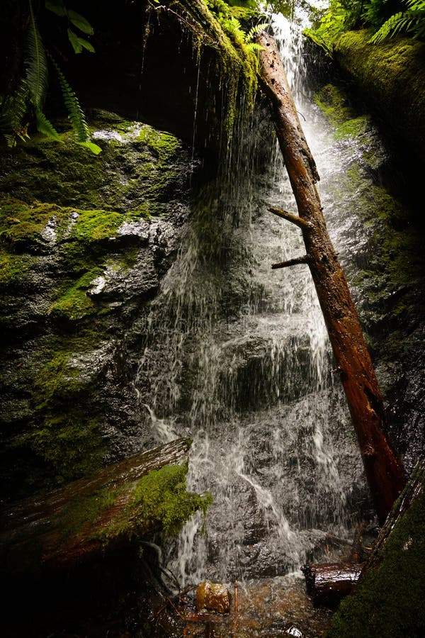 Mossy Waterfall with Fallen Log Stock Photo - Image of rocks ...