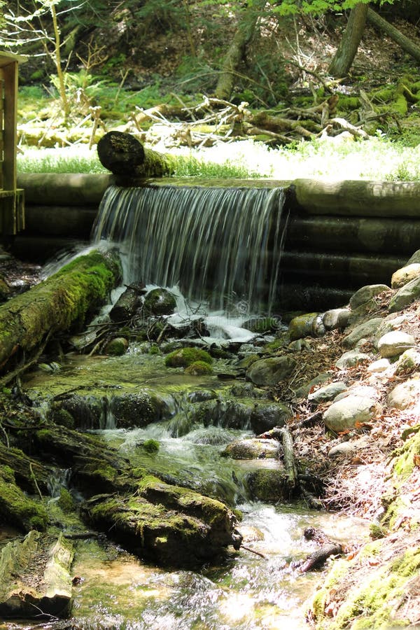 Mossy waterfall stock image. Image of little, nature, green - 9683215