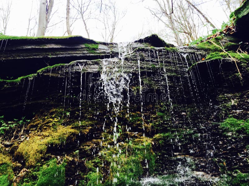 Mossy waterfall stock image. Image of little, nature, green - 9683215