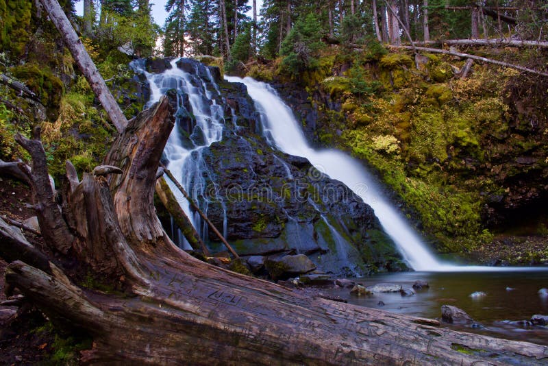 Mossy waterfall stock image. Image of little, nature, green - 9683215