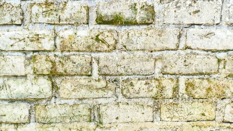 A mossy white brick wall stock photo. Image of safe - 212667806