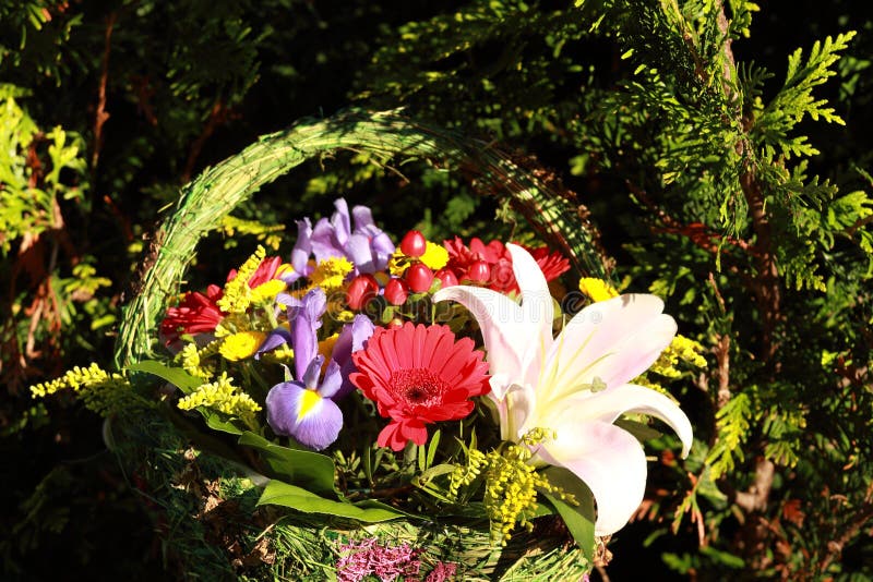 Beautiful Bouquet of Flowers for Women. Stock Image - Image of shrub ...