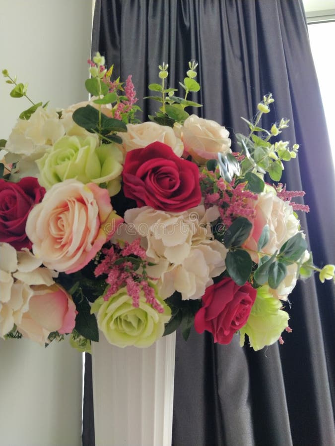 The Most Beautiful Flower for Me Very Good View Stock Image - Image of ...