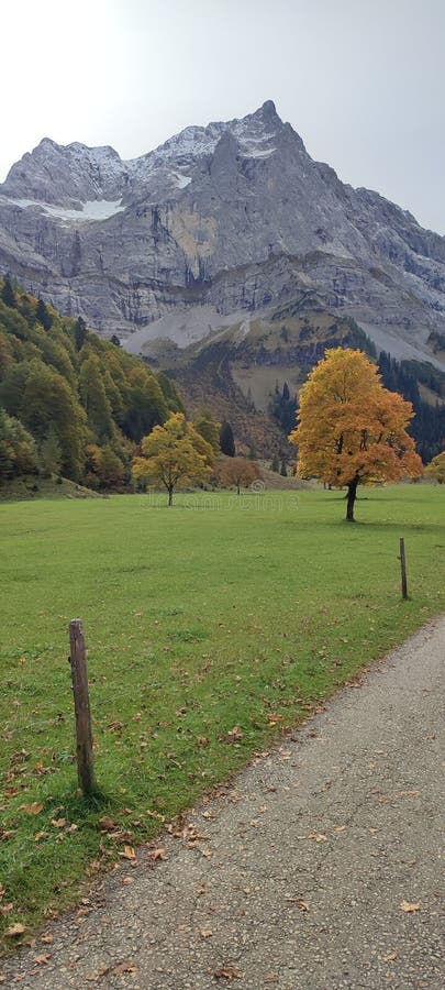 Austria Tirol stock image. Image of hill, ridge, leaf - 271622427