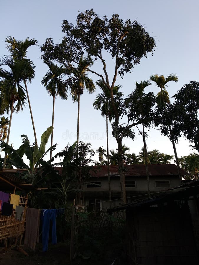 Sinari Stock Photos - Free & Royalty-Free Stock Photos from Dreamstime