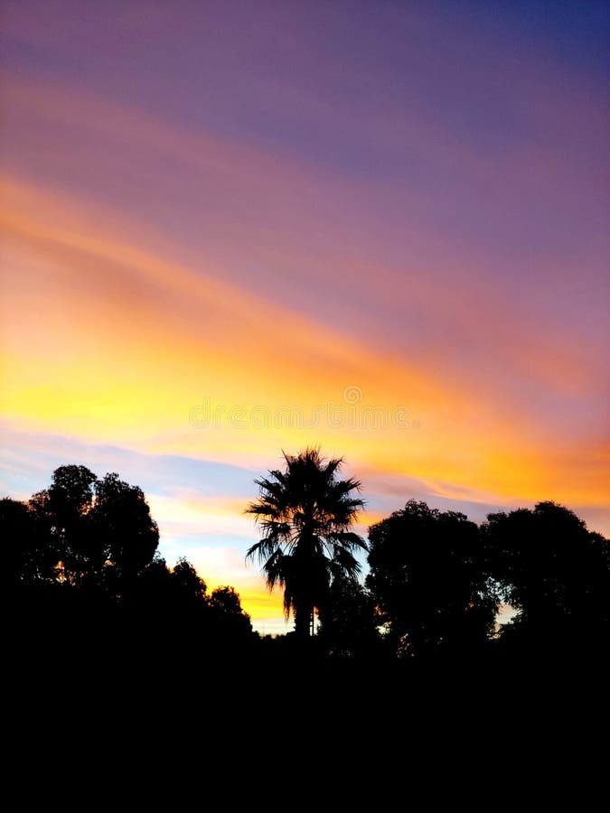 Most beautiful sunset ever stock photo. Image of trees - 143289288
