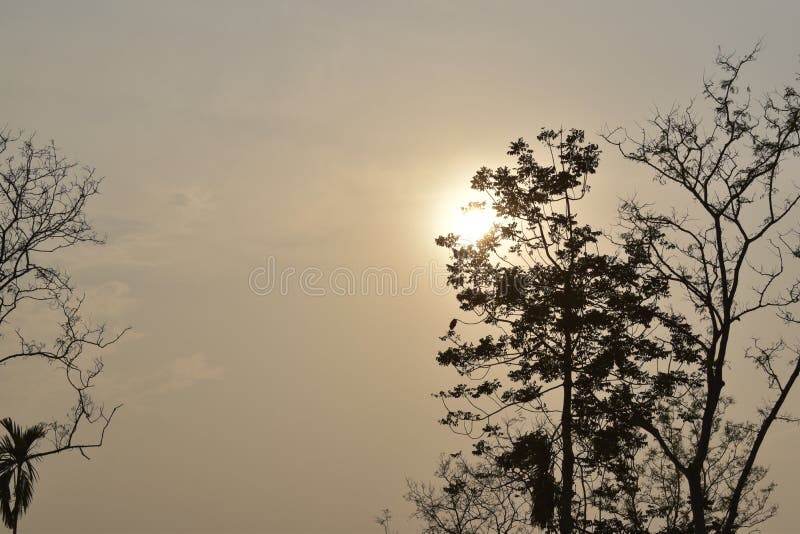 Most Beautiful Sunset Scenery of Assame Images Stock Photo - Image of ...