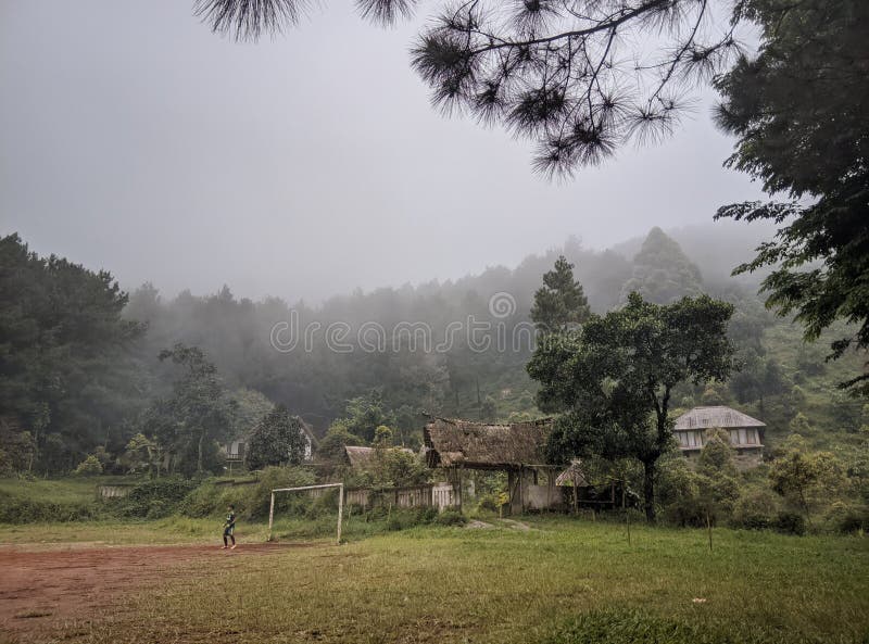 The Most Beautiful Tour in Bogor Pine Trees with Fog and Clouds Cold ...