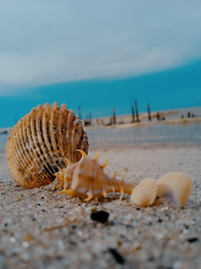 The Most Beautiful View on the Beach I Met Stock Photo - Image of ...