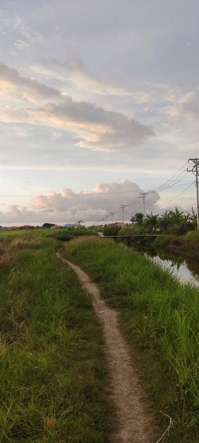 The most beautiful way stock photo. Image of memory - 261772652