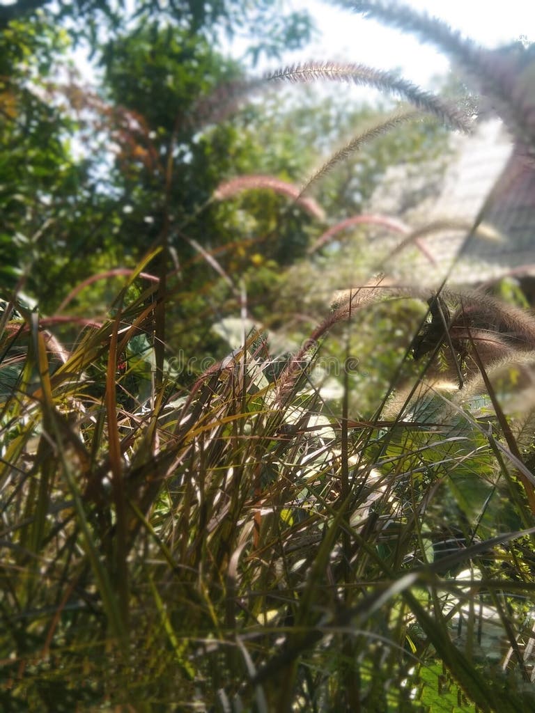 278,038 Most Beautiful Protitutes Stock Photos - Free & Royalty-Free ...