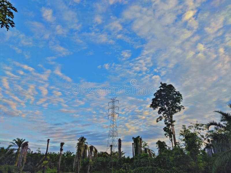 The Most Comfortable Place is the Rice Fields. Stock Photo - Image of ...
