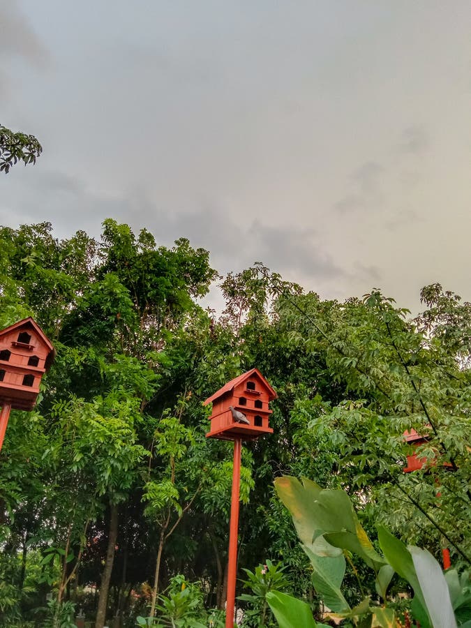 The Most Comfortable Place when the Wings are Tired To Fly. Tree House ...