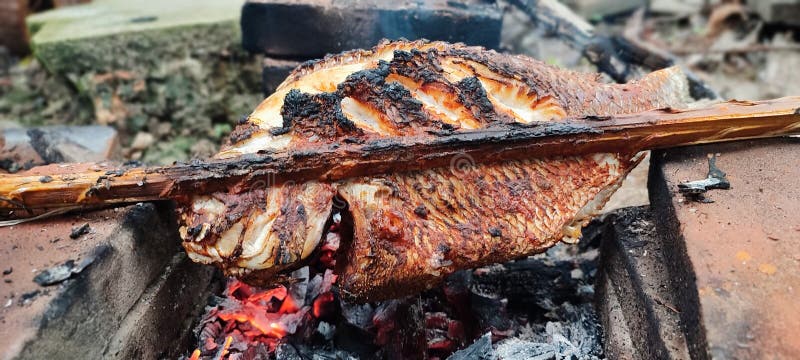 The Most Delicious Grilled Fish Ever Stock Image - Image of fish ...
