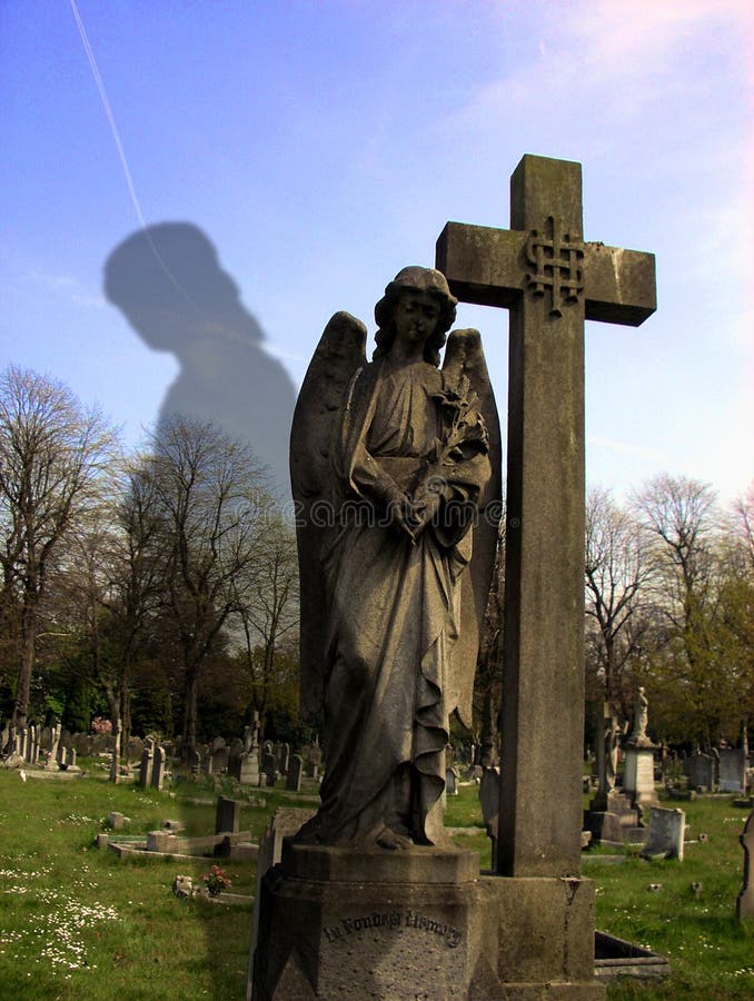 Cross with Roses on Netherlands American Cemetery in Margraten Stock ...