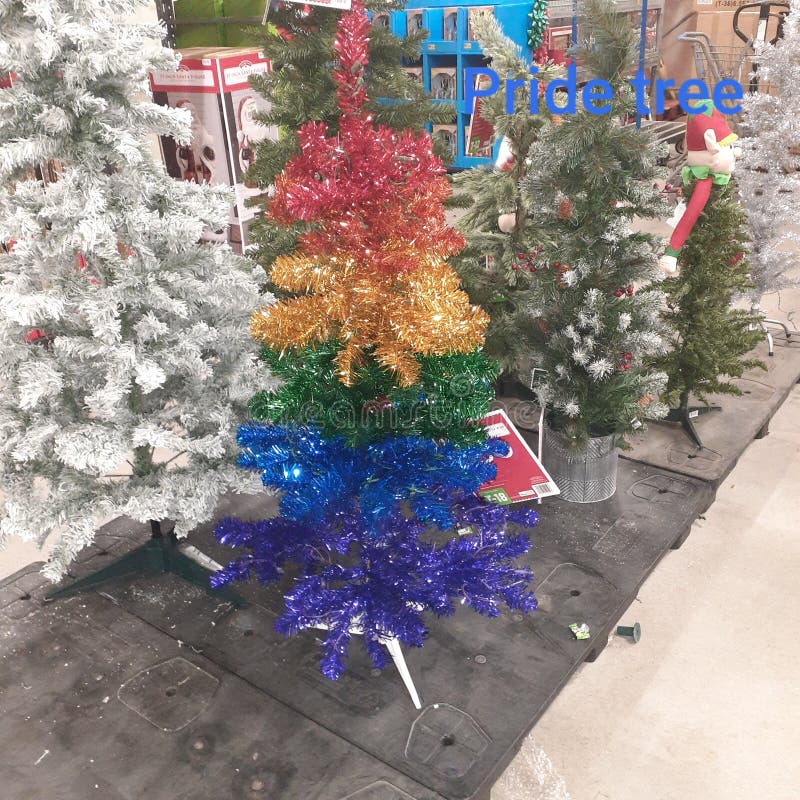 The most proud tree stock photo. Image of tree, bouquet - 232718906