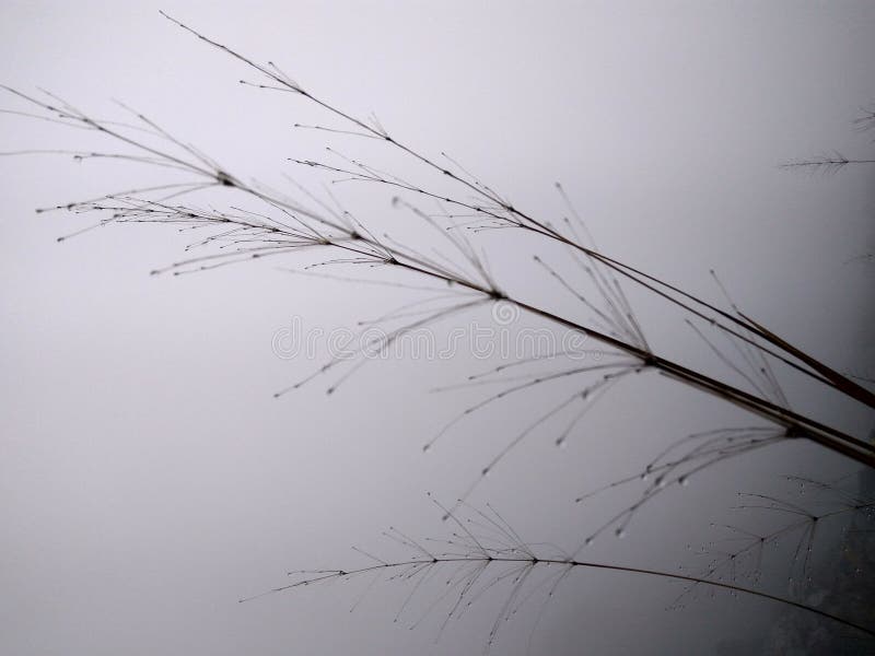 Most silent photo stock photo. Image of silent, symbol - 85436394