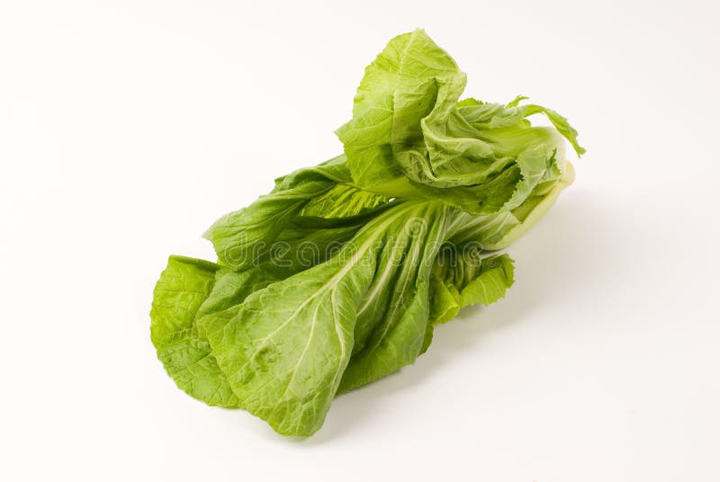 Mostarda de folha foto de stock. Imagem de vegetariano - 11541872