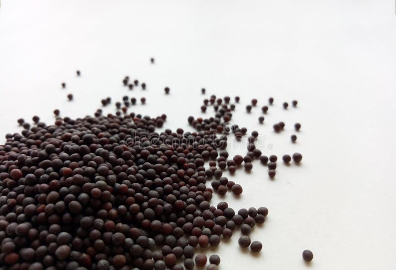 Mostarda preta foto de stock. Imagem de gostoso, fresco - 99116118