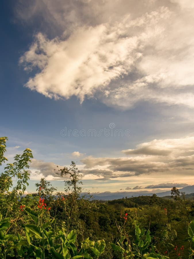 A Mostly Clear Sky and Soft Clouds in the Afternoon Stock Image - Image ...