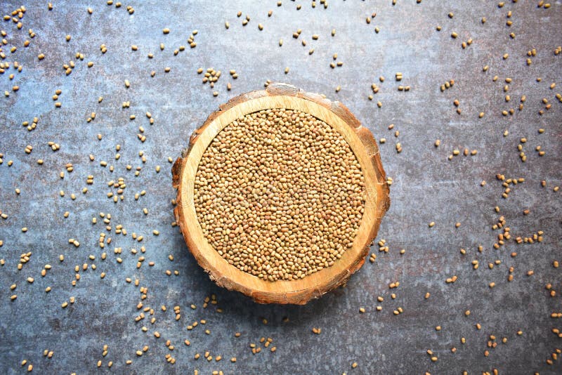 Moth bean stock image. Image of gram, agriculture, colorful - 220079219