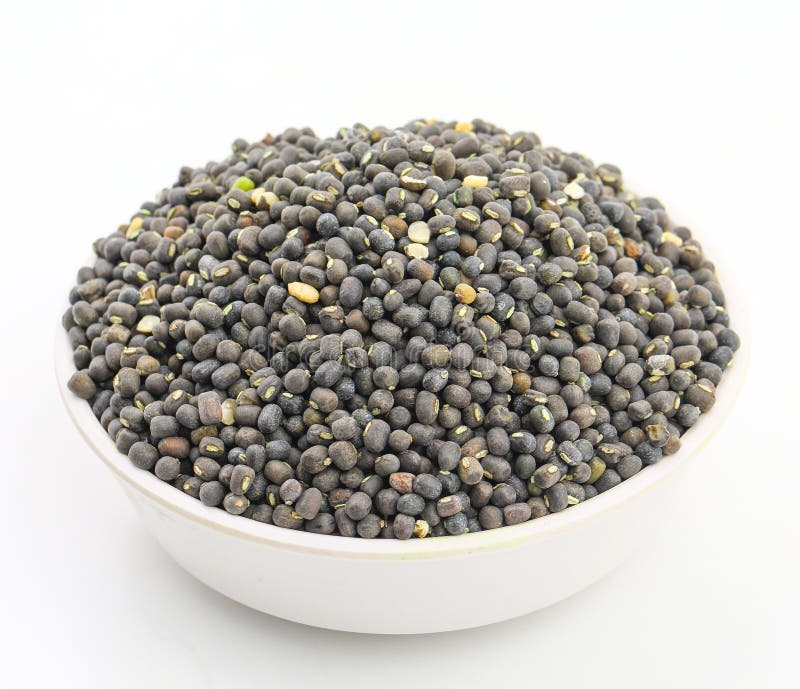 Moth Beans Vigna Aconitifolia Stock Photo - Image of black, gram: 94130922