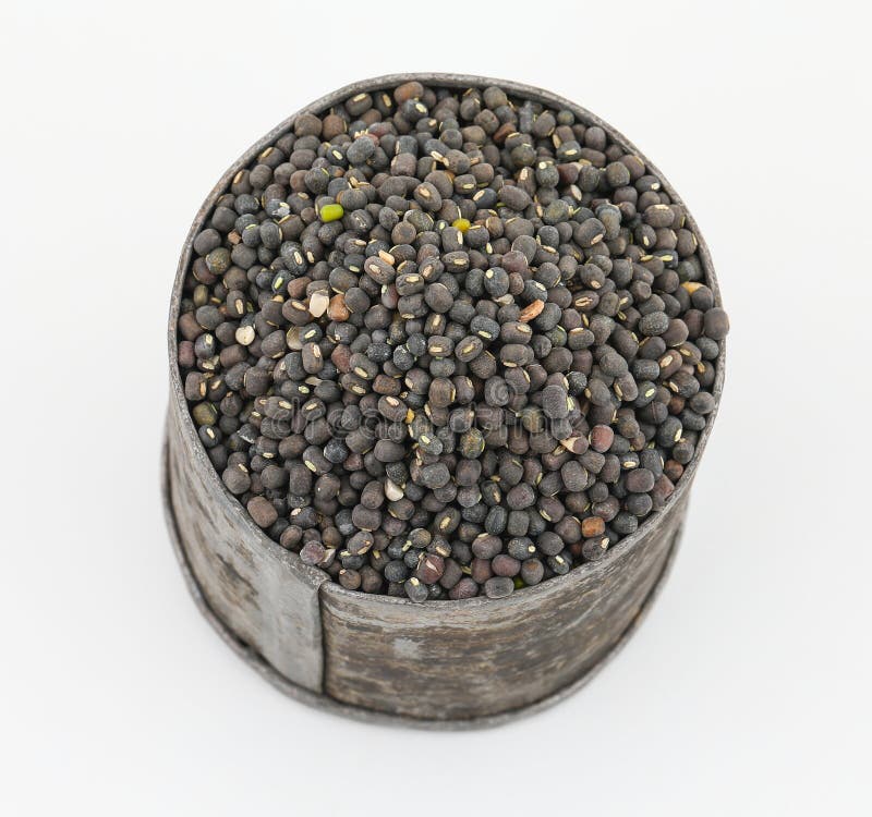 Moth Beans Vigna Aconitifolia Stock Photo - Image of gram, moth: 94349154