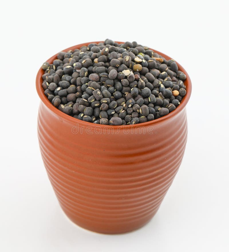 Moth Beans Vigna Aconitifolia Stock Photo - Image of gourmet, harvest ...