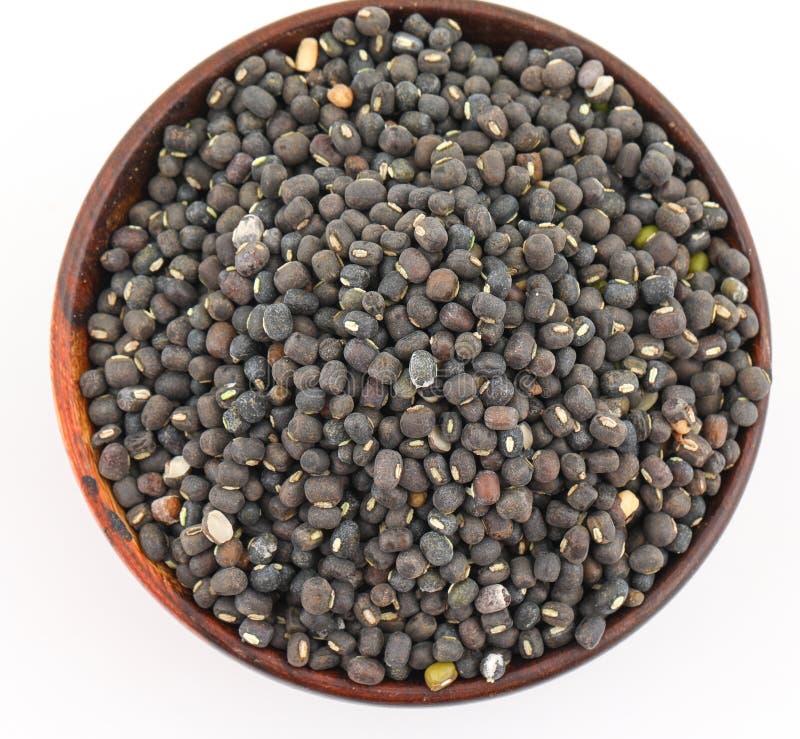 Moth Beans Vigna Aconitifolia Stock Image - Image of moong, green: 97600299