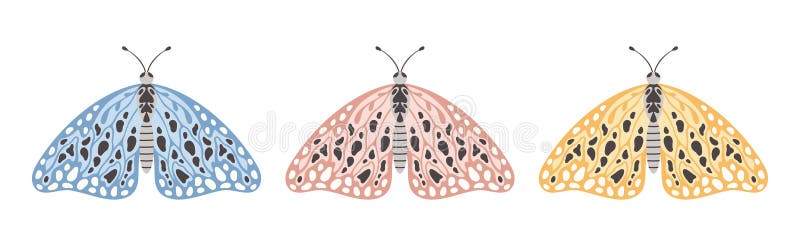 Moth or Butterfly Set, Vector Illustration. Wings of Flying Insects ...