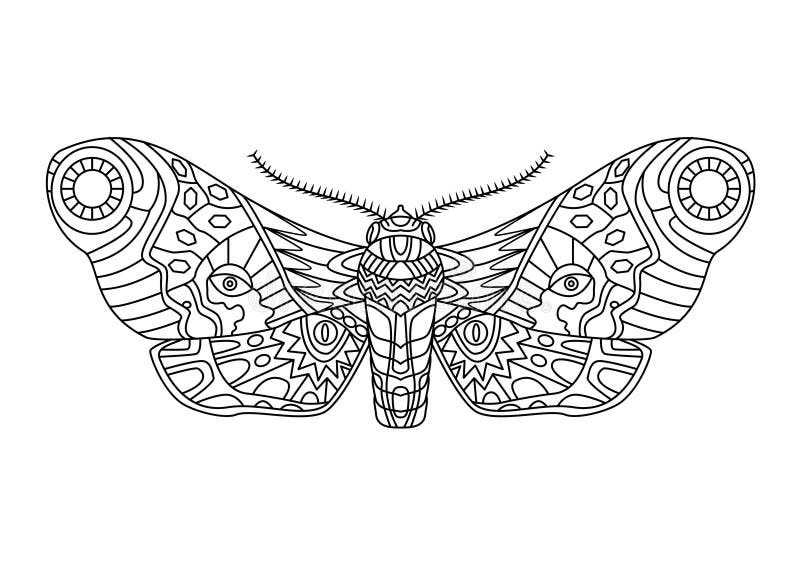 Moth Coloring Page Vector Illustration Stock Vector - Illustration of ...