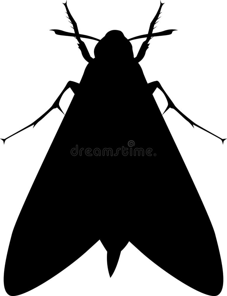Moth Insect Silhouette Stock Illustrations – 23,976 Moth Insect ...