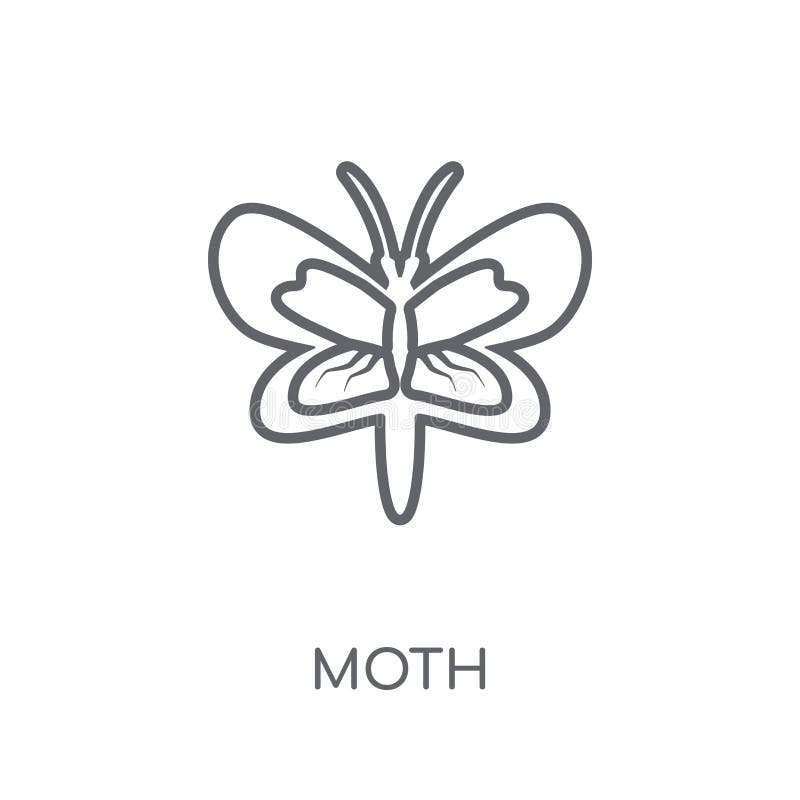 Moth Linear Icon. Modern Outline Moth Logo Concept on White Back Stock ...