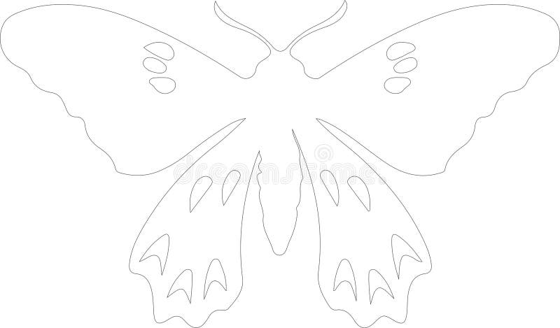 Moth Outline Silhouette Generative Ai Stock Vector - Illustration of ...